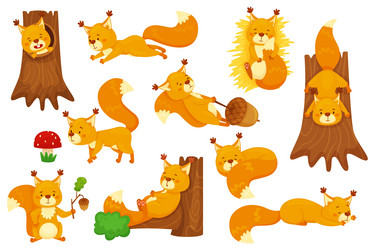 House for squirrel Royalty Free Vector Image - VectorStock