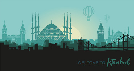 Landscape turkish city istanbul Royalty Free Vector Image