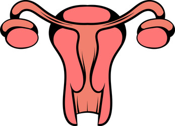 Uterus and ovaries of human cartoon design Vector Image