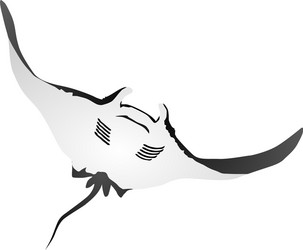 Manta Ray Vector Images (over 1,700)