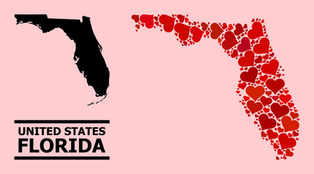 Florida Pattern Vector Images (over 570)