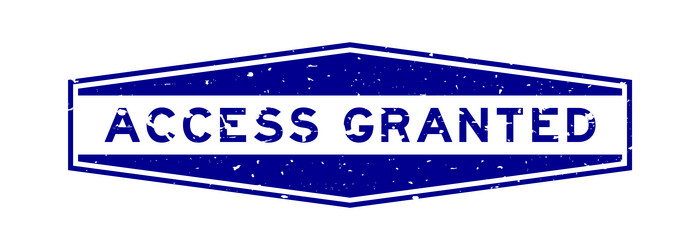 Grunge blue access granted word square rubber Vector Image