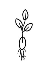 Cartoon Plant Root Vector Images (over 10,000)