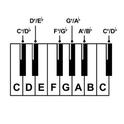 Grand Piano Layout Vector Images (44)