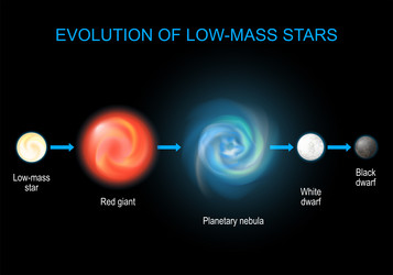 Stellar evolution life cycle a star Royalty Free Vector