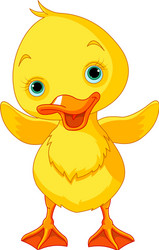 Little duck Royalty Free Vector Image - VectorStock