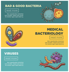 Types of human pathogen pathogenic bacteria Vector Image