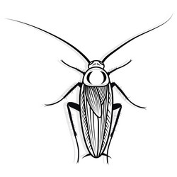 Cockroach Vector Images (over 7,800)