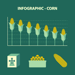 Agriculture Corn Infographic Vector Images (over 710)