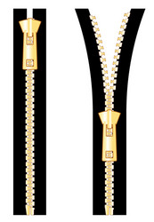 A zip Royalty Free Vector Image - VectorStock