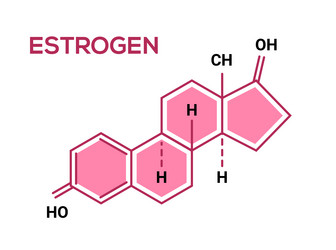 Estrogen hormones formula Royalty Free Vector Image