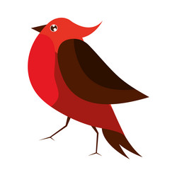 Cardinal Vector Images (over 4,400)