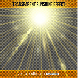 Sunshine Effect Vector Images (over 10,000)