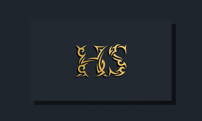 Initial letters hs monogram logo design bundle Vector Image