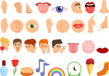 Face with Five Senses Cartoon Vector Images (over 160)