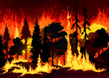Woodland eco banner fire in forest wildfire Vector Image