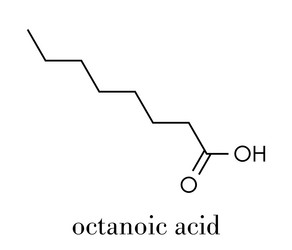 Caprylic octanoic acid molecule common saturated Vector Image