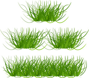 Jungle plant composition isolated Royalty Free Vector Image