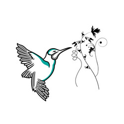 Hummingbird line icon outline sign linear Vector Image