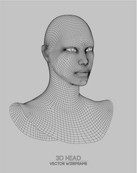 Head 3d grid geometric face design Royalty Free Vector Image