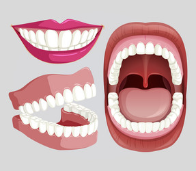 Open mouth Royalty Free Vector Image - VectorStock