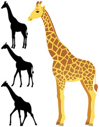 Giraffe Vector Images (over 39,000)