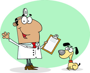 Cartoon vet Royalty Free Vector Image - VectorStock