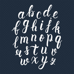 Handwritten latin calligraphy brush script Vector Image