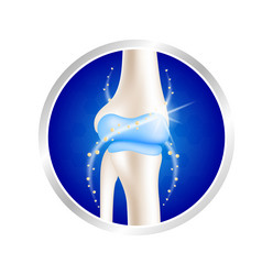 Healthy bone Royalty Free Vector Image - VectorStock