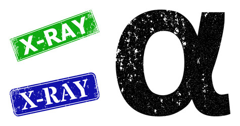 X-Ray Word Vector Images (over 140)