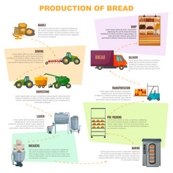 Bread production flowchart Royalty Free Vector Image