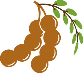 Tamarind Outline Vector Images (over 120)