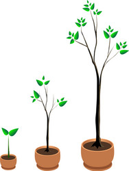 Growing Vector Images (over 240,000)