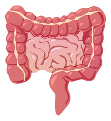 Colon Cartoon