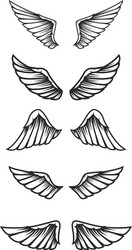 Dove wings Royalty Free Vector Image - VectorStock