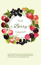 Berry mix banner Royalty Free Vector Image - VectorStock