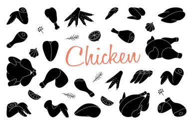 Chicken meats outline sketch set butcher shop Vector Image