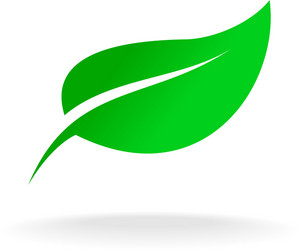 Single Leaf Vector Images (over 38,000)