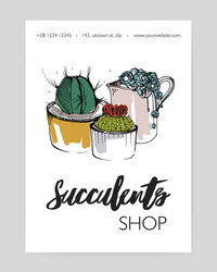 Flyer Succulent Vector Images (over 380)