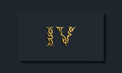 Initial letters iv monogram logo design bundle Vector Image