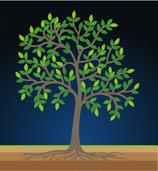 Pohon Vector Images (14)