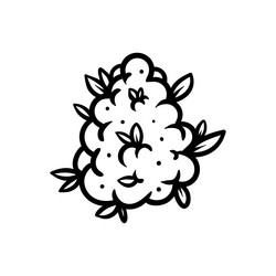 Green cannabis flower isolated drawing line art Vector Image