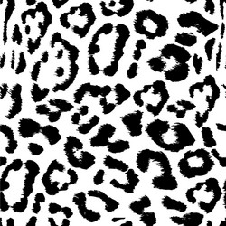 Seamless black and white leopard pattern Vector Image