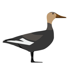 Duck Side View Vector Images (over 180)