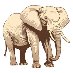 Large african elephant walking Royalty Free Vector Image