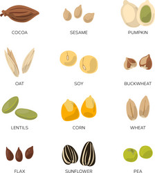 Cartoon seeds plant grain germination flat style Vector Image