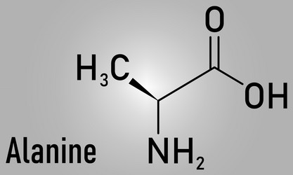 Alanine Amino Acid Vector Images (over 150)