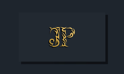 Initial letters jp monogram logo design bundle Vector Image