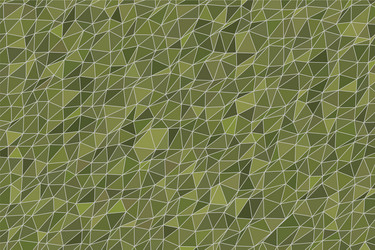 Abstract colored geometric triangle strip pattern Vector Image