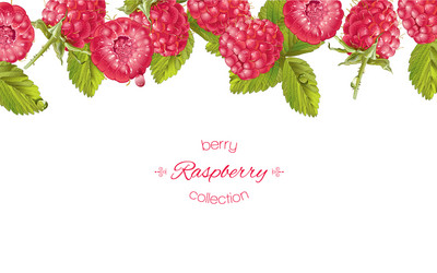 Raspberry Vector Images (over 27,000)